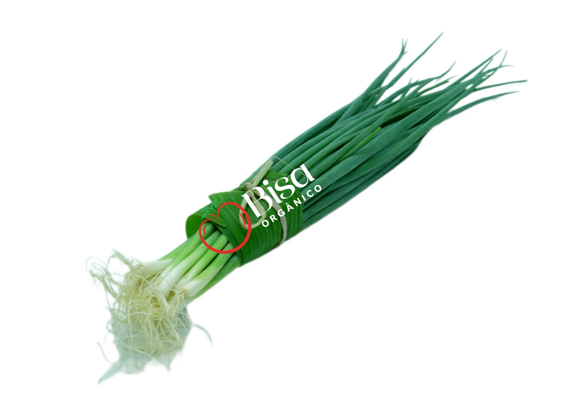 Cebolinho – Bisa Orgânico